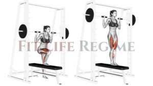 12 Most Effective Smith Machine Leg Workout & Exercises