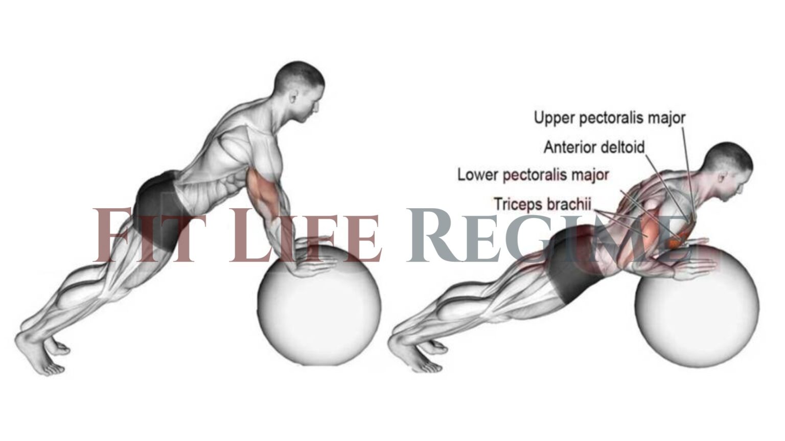 7 Best Tricep Push-Ups To Build Strong, Muscular Arms