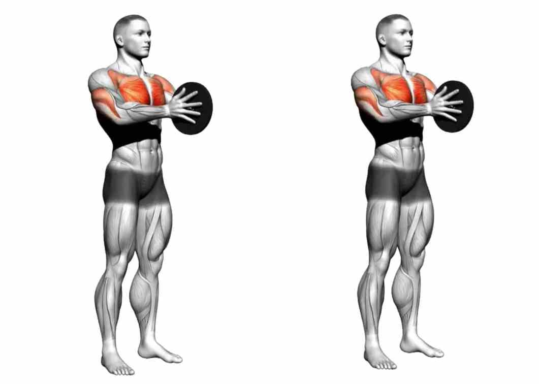 Svend Press: Benefits, Muscle Worked and Variations