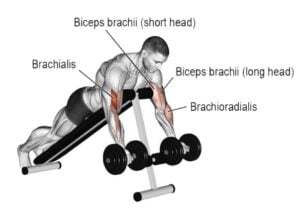 Spider Curls: A Complete Beginner's Guide