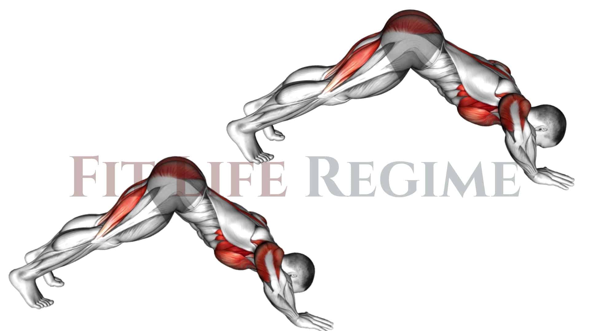 125+ Top Bodyweight Exercises Names (With Images)