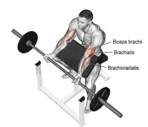 How To Do Preacher Curl: Complete Guide