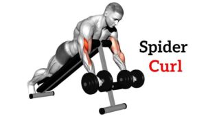 Spider Curls: A Complete Beginner's Guide