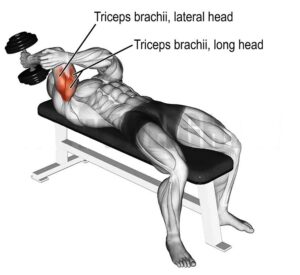 Master the Dumbbell Skull Crusher: A Step-by-Step Guide