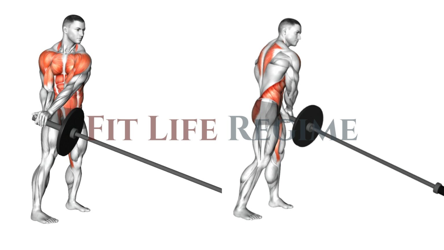 15 Best Standing Exercises To Work Your Oblique and Abs