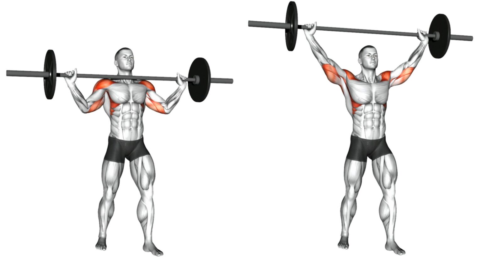 100+ Top Shoulder Exercises Names (With Images)