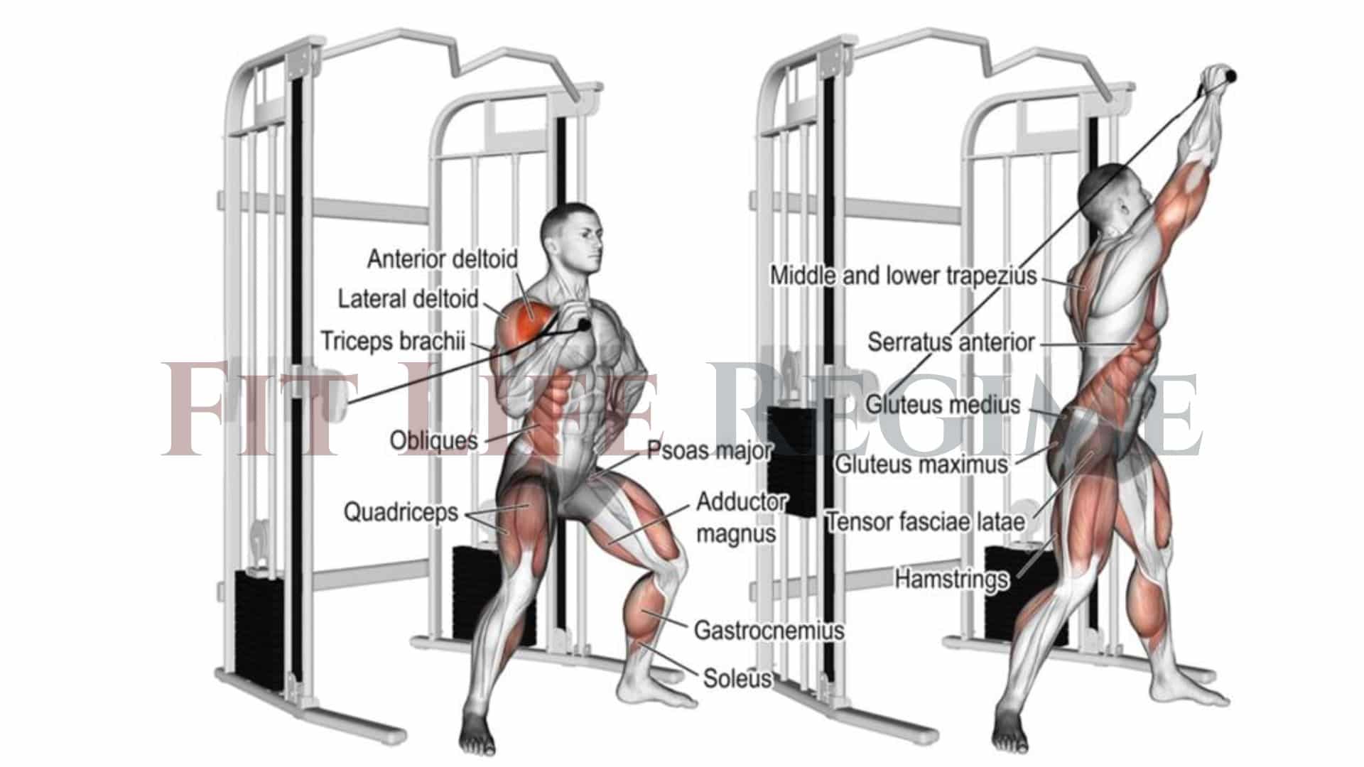 How To Do Cable Shoulder Press & Its Benefits