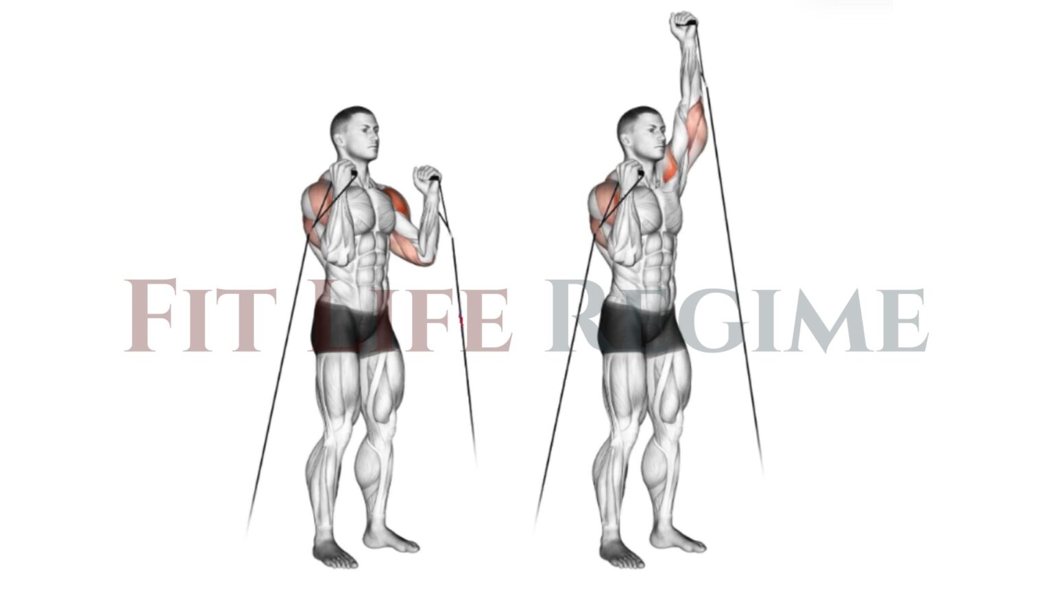 Cable Shoulder Press