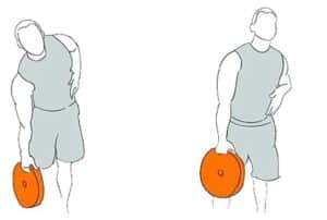How To Do Plate Side Bend and Its Benefits