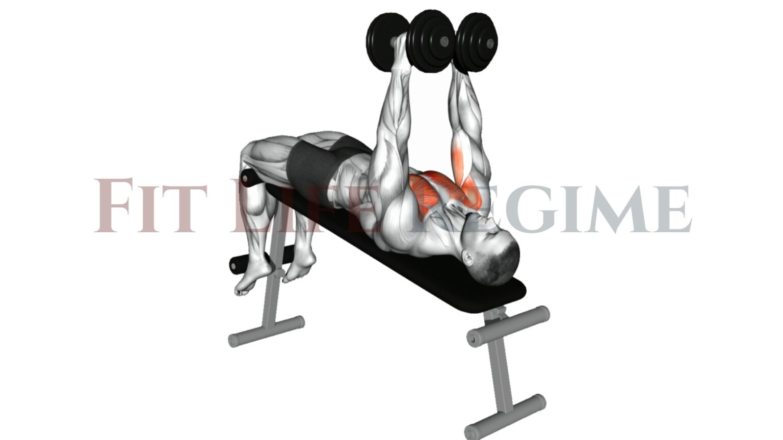 Dumbbell Squeeze Press: How To Do, Muscles Worked