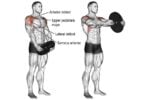 Plate Front Raise: How To Do, Muscles Worked