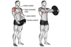 Plate Front Raise: How To Do, Muscles Worked