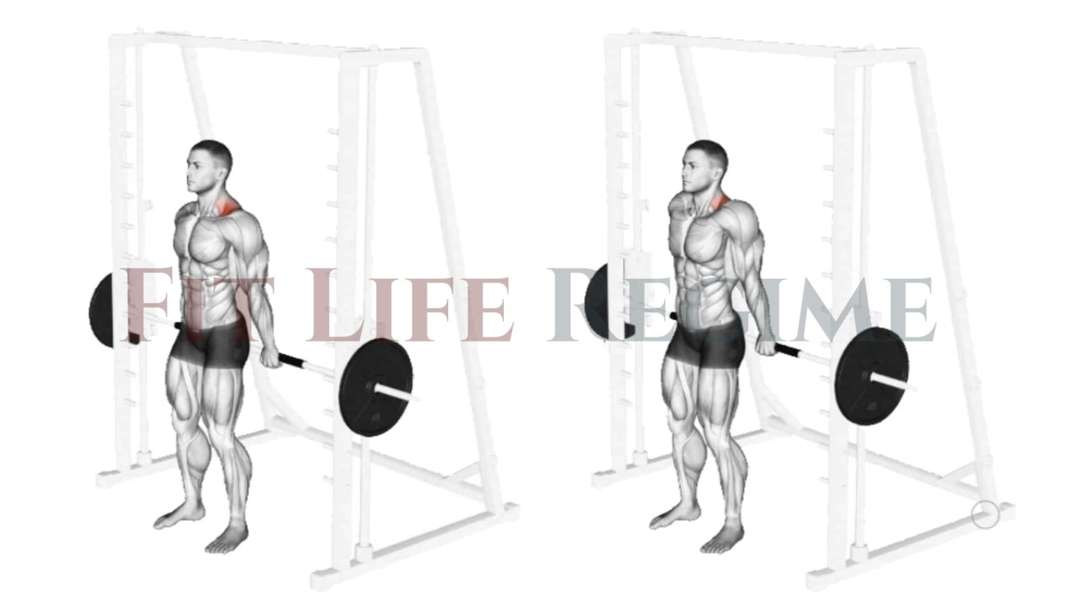 7 Best Smith Machine Shoulder Exercises (With Images)