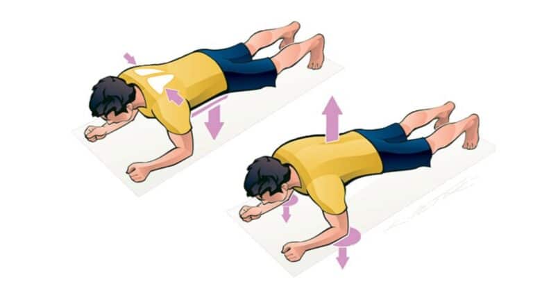 Scapula Push Ups: Muscles Worked, How To Do & Benefits