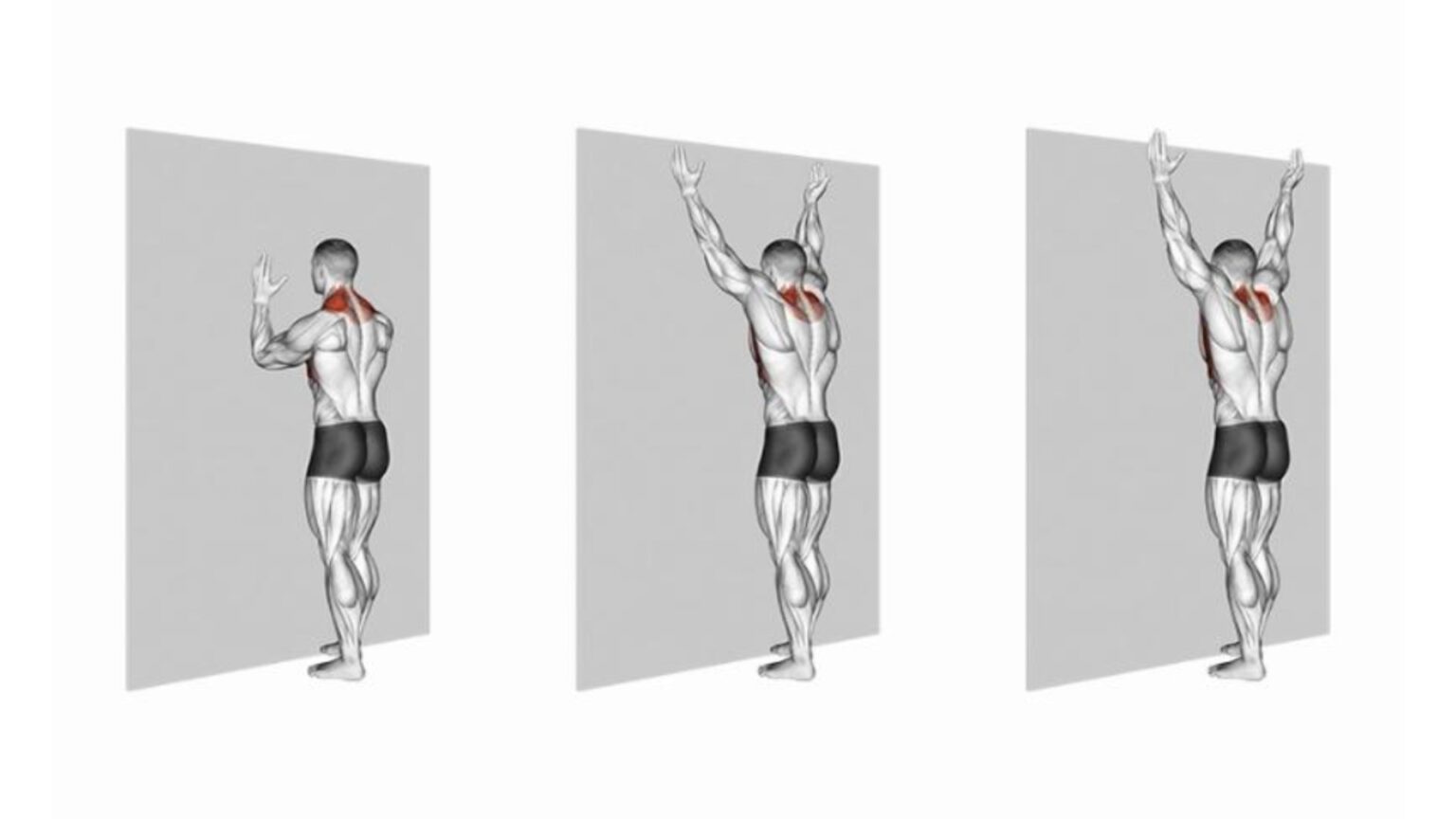 Scapular Wall Slides: Improve Shoulder and Back Mobility