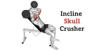 Incline Skull Crushers: How To Do, Muscles Worked & Technique