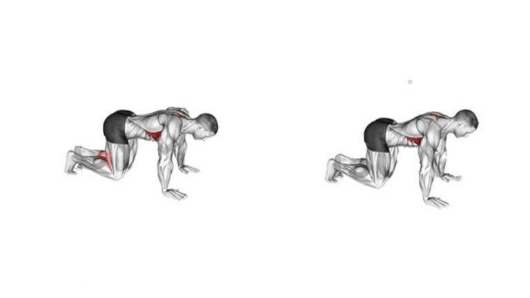 Scapula Push Ups: Muscles Worked, How To Do & Benefits