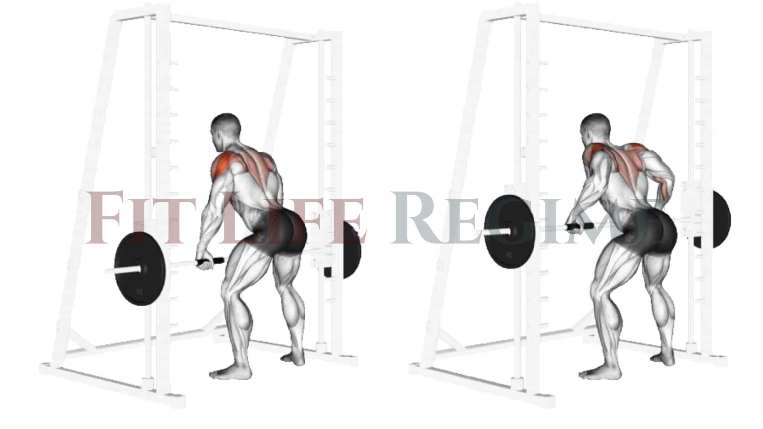 7 Best Smith Machine Shoulder Exercises (With Images)