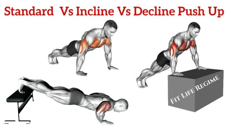 Standard Push Up Vs Incline Push Up Vs Decline Push Up Standard Push Up Vs Incline Push Up Vs Decline Push Up