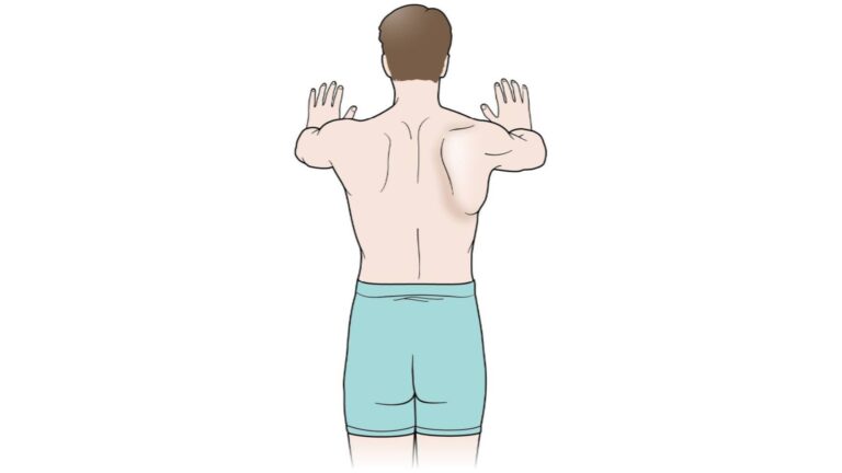 Scapula Push Ups: Muscles Worked, How To Do & Benefits