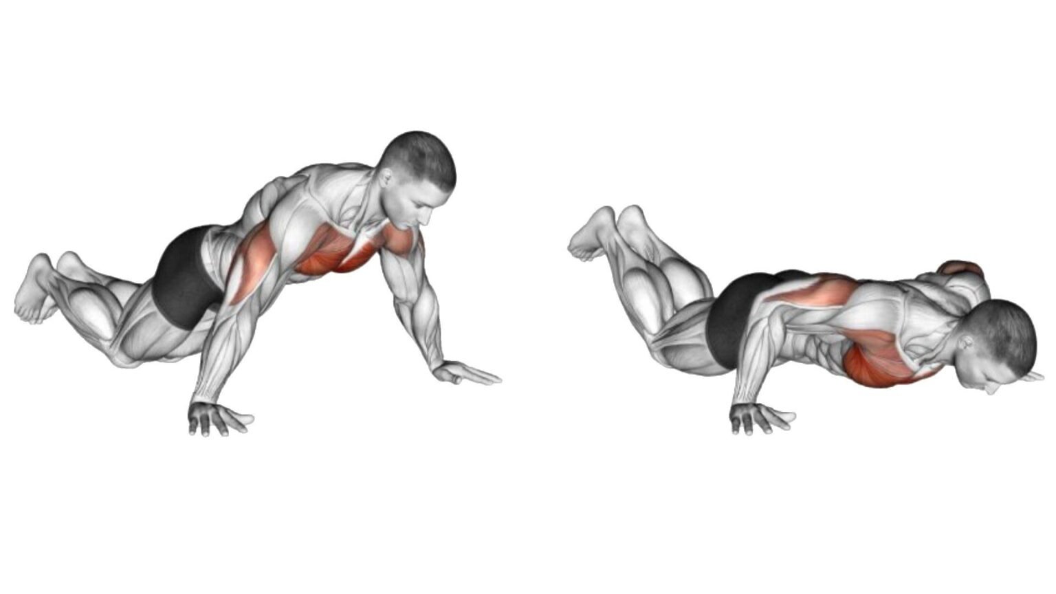 Wide Grip Push Up: How To Do & Muscles Worked