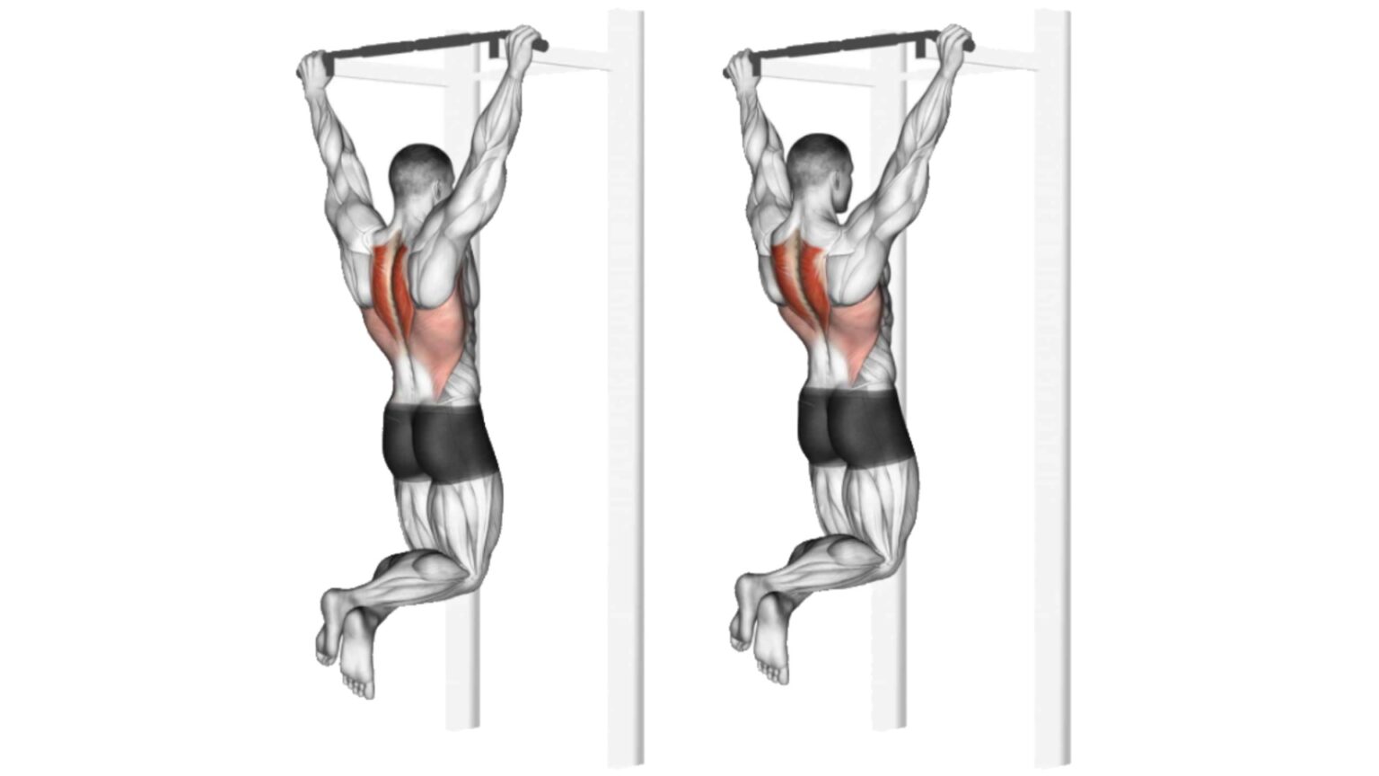 25 Different Types Of Pull Ups and Chin Ups (Variations)