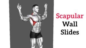 Scapular Wall Slides: Improve Shoulder and Back Mobility