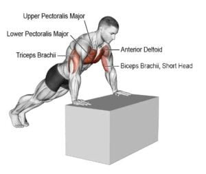 Incline Push Up: Muscles Worked, How To Do, Form & Benefits