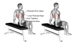 Scapula Dip: How To Do, Muscles Worked & Benefits