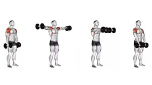 Dumbbell Lateral Raise: A Complete Beginner Guide