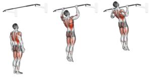 25 Different Types Of Pull Ups and Chin Ups (Variations)