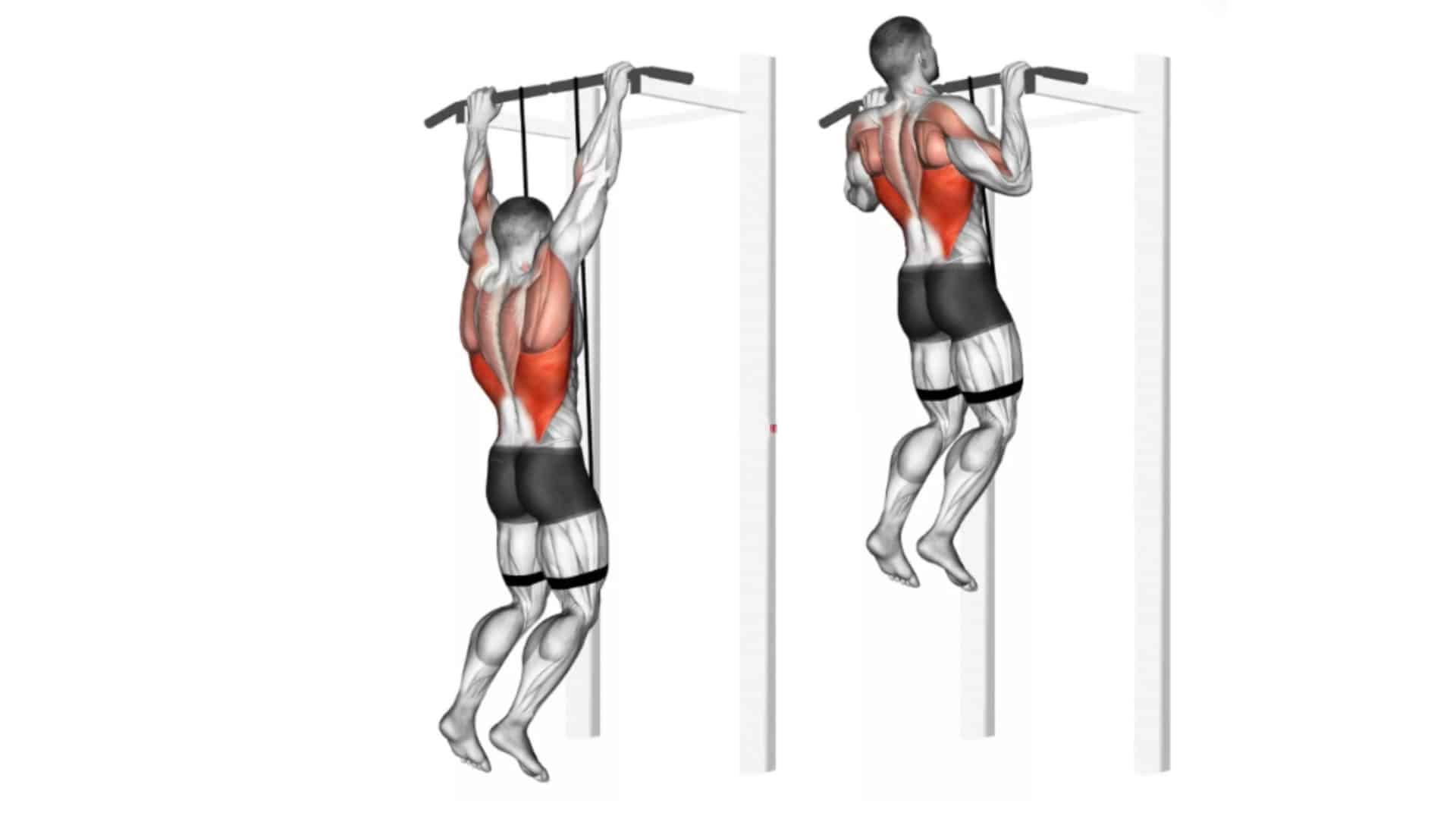 25 Different Types Of Pull Ups and Chin Ups (Variations)