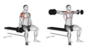 Dumbbell Lateral Raise: A Complete Beginner Guide
