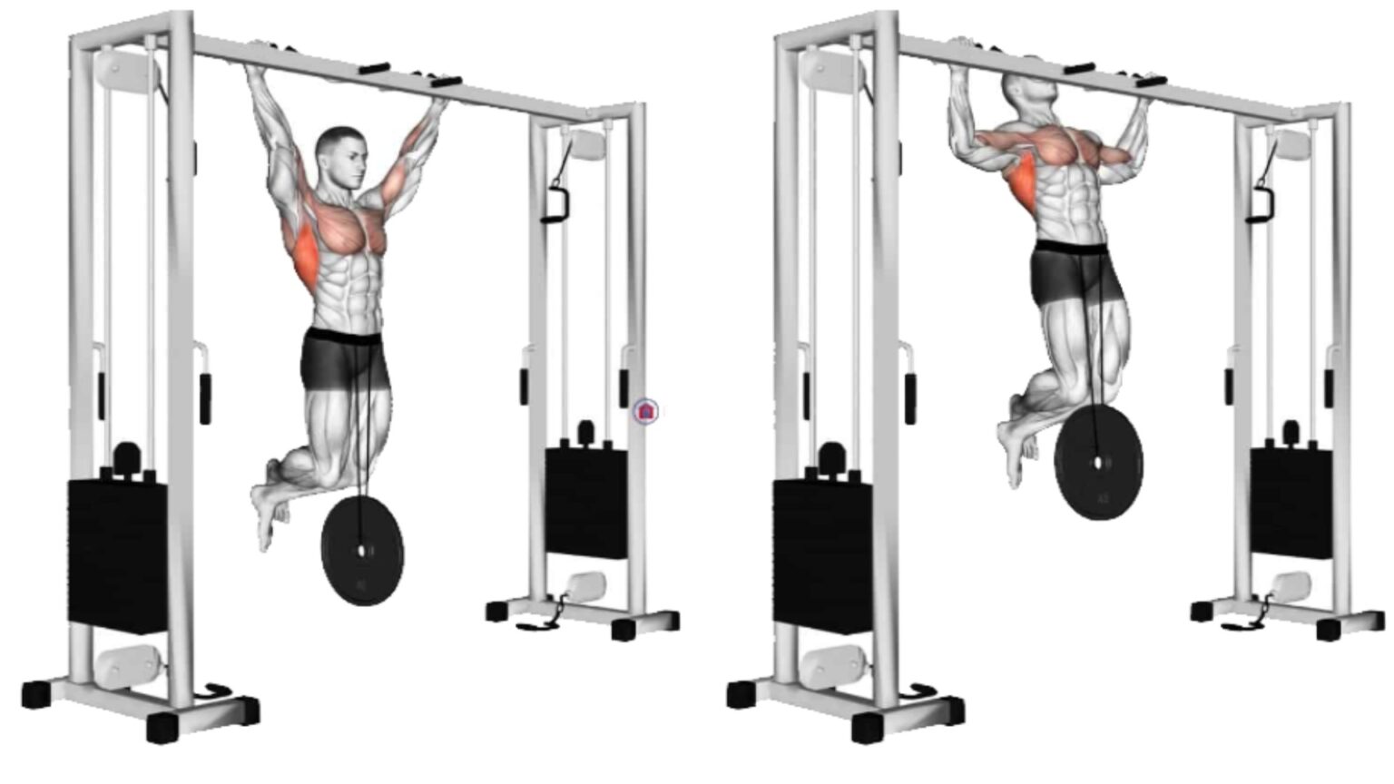 25 Different Types Of Pull Ups and Chin Ups (Variations)
