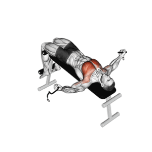 Mastering the Decline Dumbbell Fly: A Complete Guide