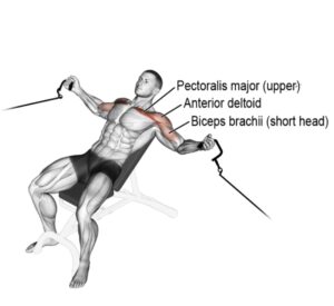 Incline Cable Fly: Muscles Worked, Benefits, Alternatives
