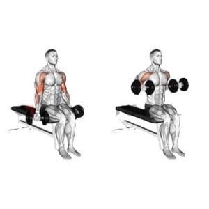 Drag Curls: Muscles Worked, Benefits and Variations