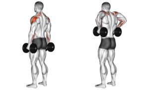 15 Best Dumbbell Rear Delt Exercises To Build Mass and Strength
