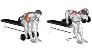 15 Best Dumbbell Rear Delt Exercises To Build Mass and Strength