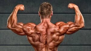12 Best Rear Delt Exercises for Mass and Strength