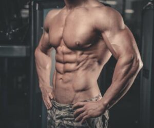 The Visual Guide to Understanding Body Fat Percentage