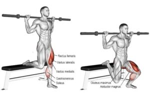 12 Best Barbell Quad Exercises To Build Mass And Strength