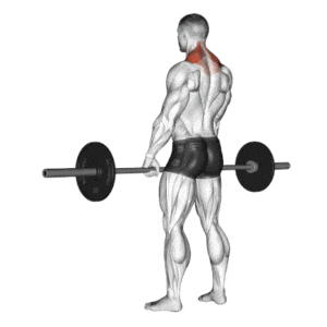 15 Best Trap Exercises for Mass and Strength