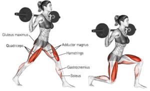 12 Best Barbell Quad Exercises To Build Mass And Strength