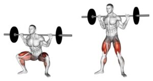 12 Best Barbell Quad Exercises To Build Mass And Strength