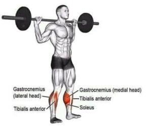 How To Do Calf Raises: Complete Guide