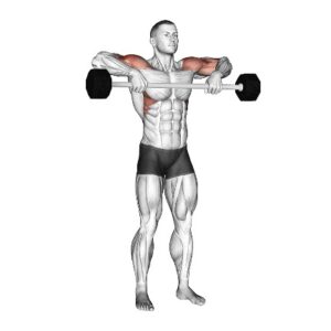 Upright Row: Muscles Worked, How To Do and Form, Variations