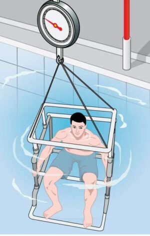 The Complete Guide To Body Fat Percentage Charts