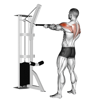 10 Best Shoulder Exercises To Build Mass 10 Best Shoulder Exercises To Build Mass