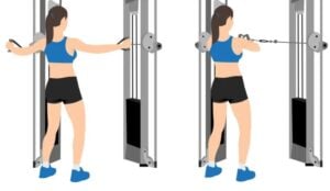 Reverse Cable Fly: Muscle Worked, How To Do and Form